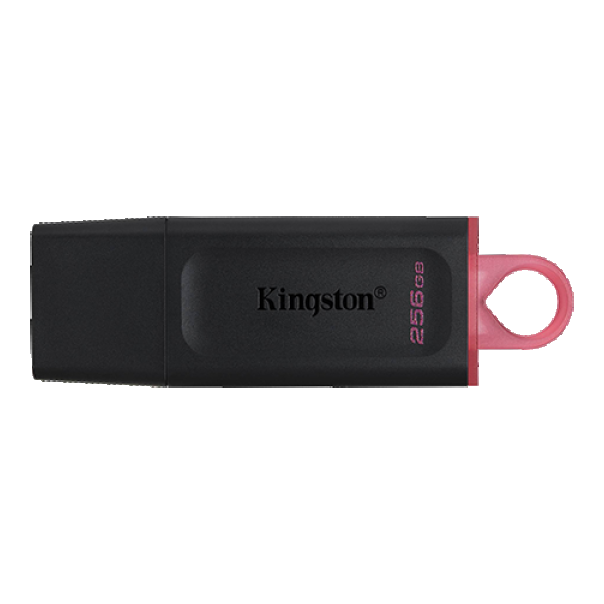 USB Flash Kingston 256GB DataTraveler Exodia USB 3.2, DTX/256GB