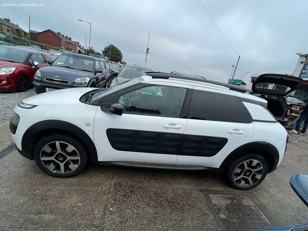C4 CACTUS C4 C3 C1 C5 C4 PICASSO DS4 DS5 DS3