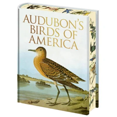 Audubon's Birds of America