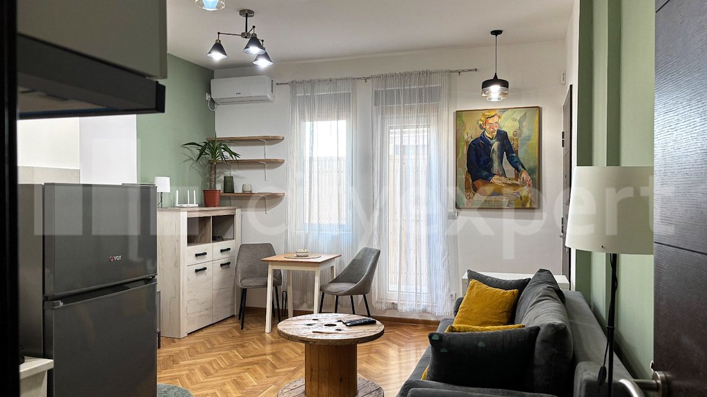 Stan za izdavanje BEZ PROVIZIJE: Garsonjera, 31m², Šumatovačka, Vračar - 650€