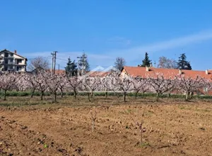 Prodaja Građevinsko zemljište - Beograd, Sopot: Mala Ivanča - Mali Požarevac