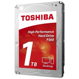 1 TB P300 HDWD110UZSVA