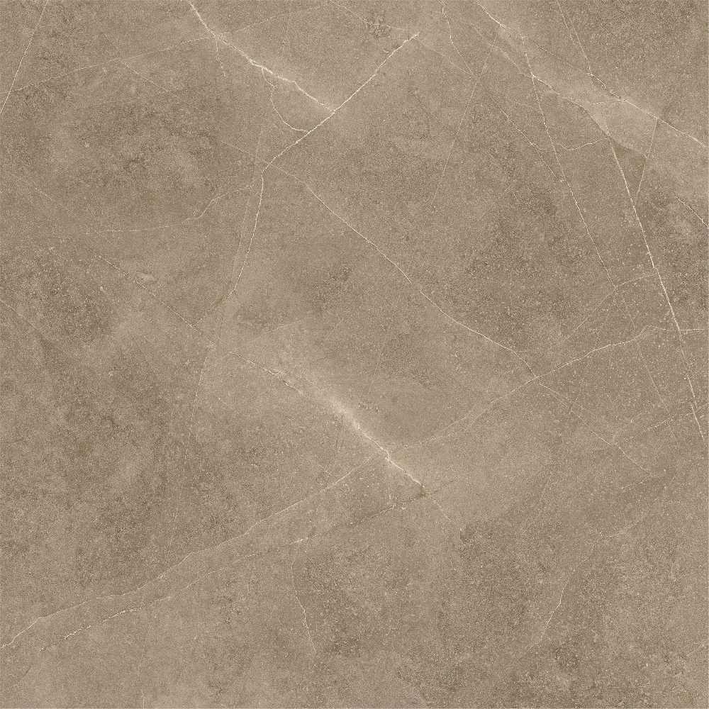 Elegant Taupe 60×60