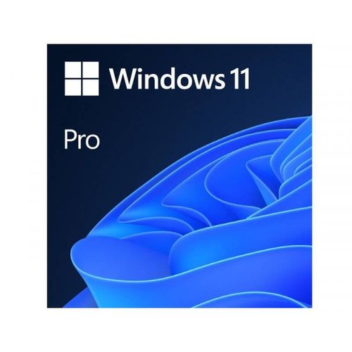 Microsoft 4YR-00316 Win 11 Pro GGK 64Bit Eng Intl 1pk DSP ORT OEI DVD