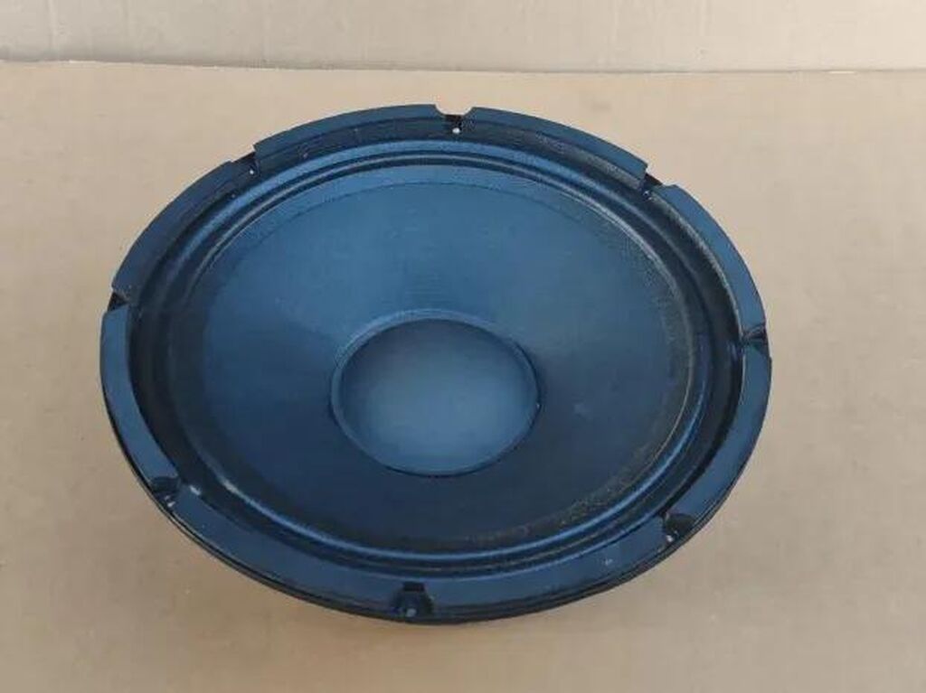 ALTO ZVUČNIK 10INCH IZ TS310 | Slanje po dogovoru ili lično