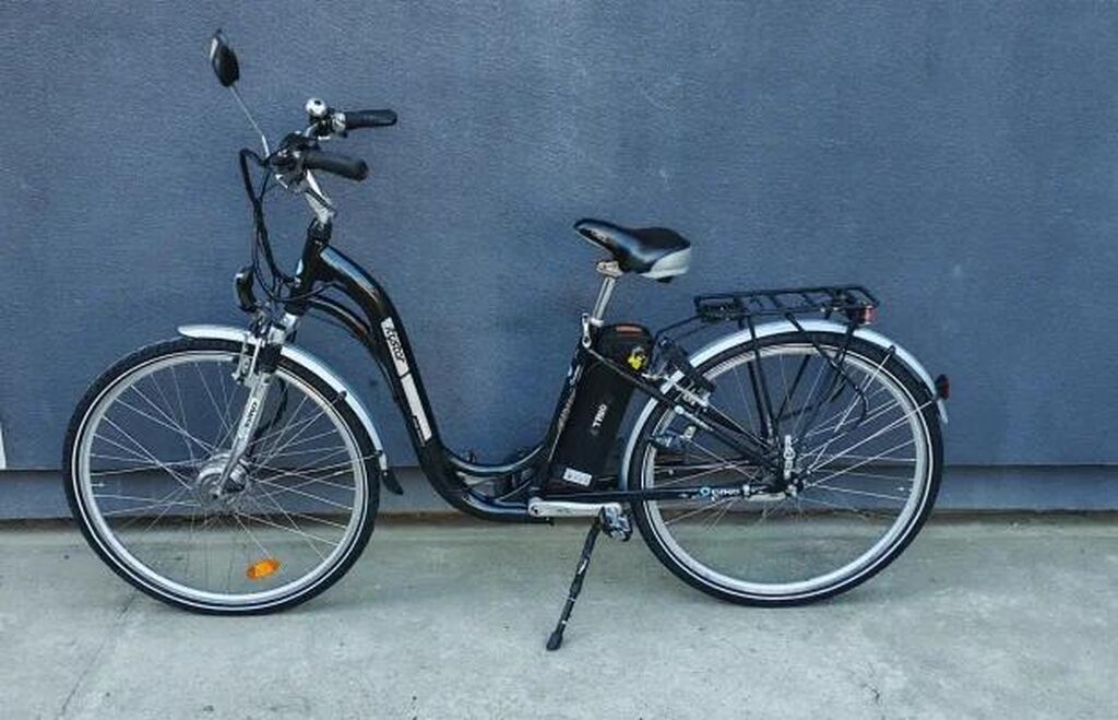 CITYSTAR TRIO EBIKE BICIKL ELEKTRIČNI | . Električni bicikl