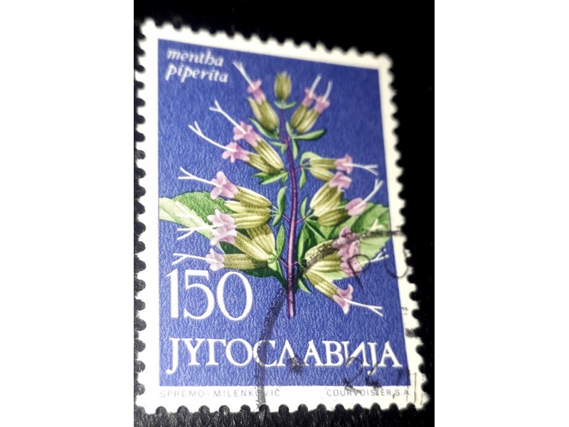 YU 1965 flora