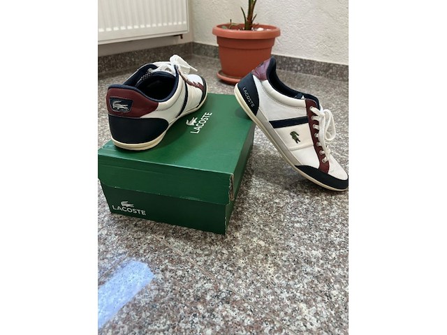Lacoste 01