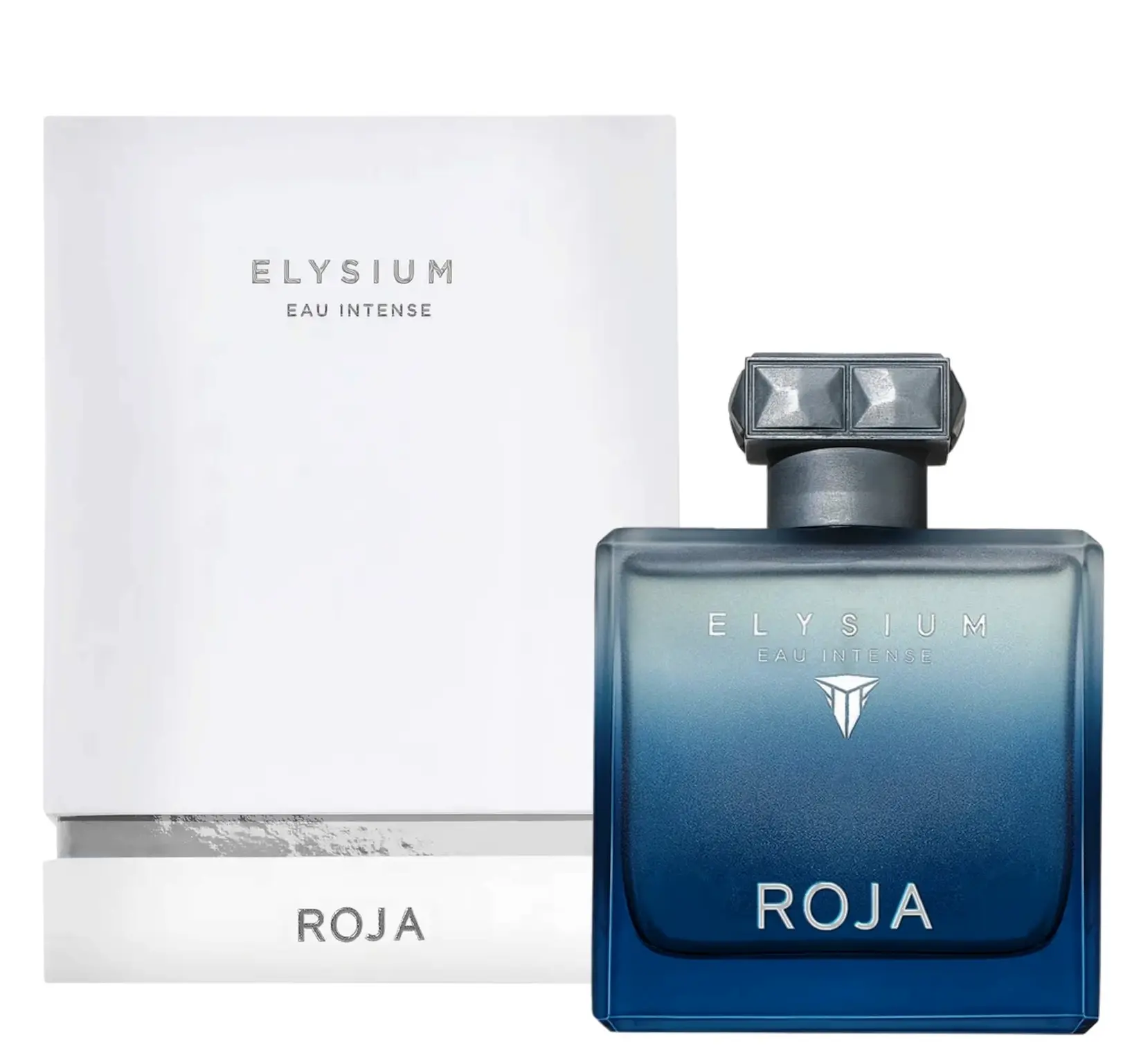 Roja Elysium Eau Intense Pour Homme 100ml