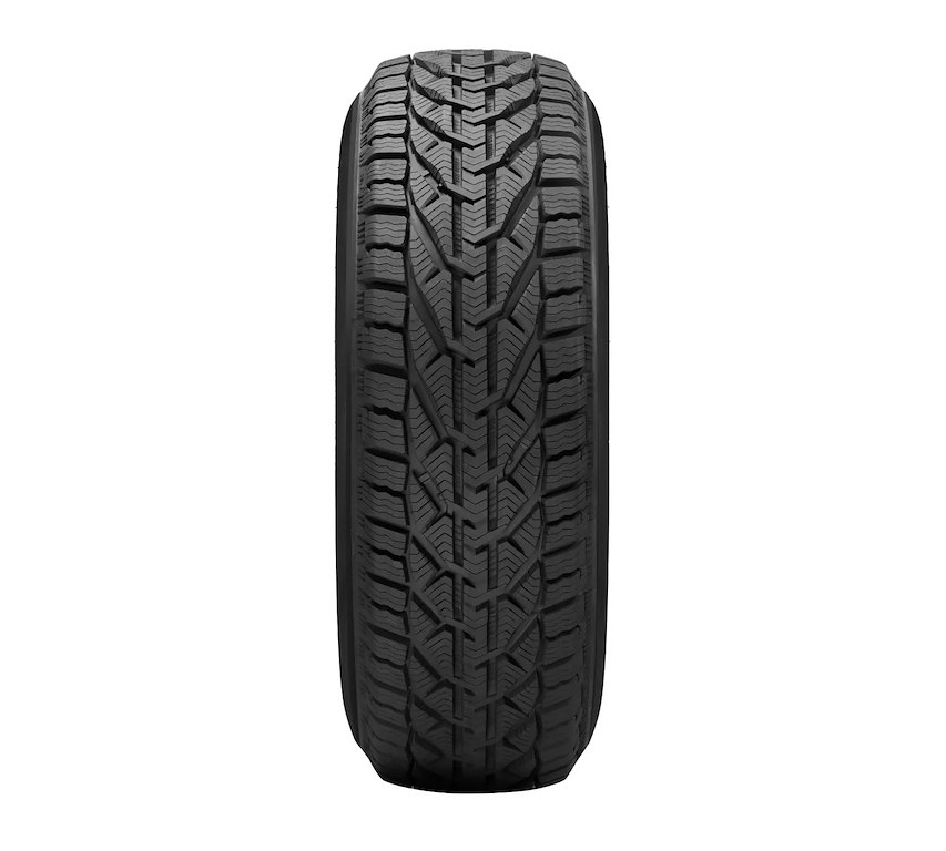 Riken Zimska guma 195/75R16C Kargo 107/105R