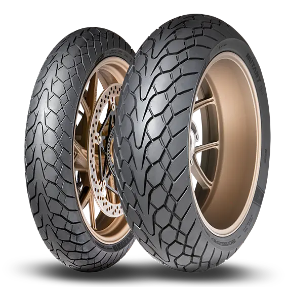Dunlop Guma za motor 120/70ZR19 Mutant 60W TL M+S