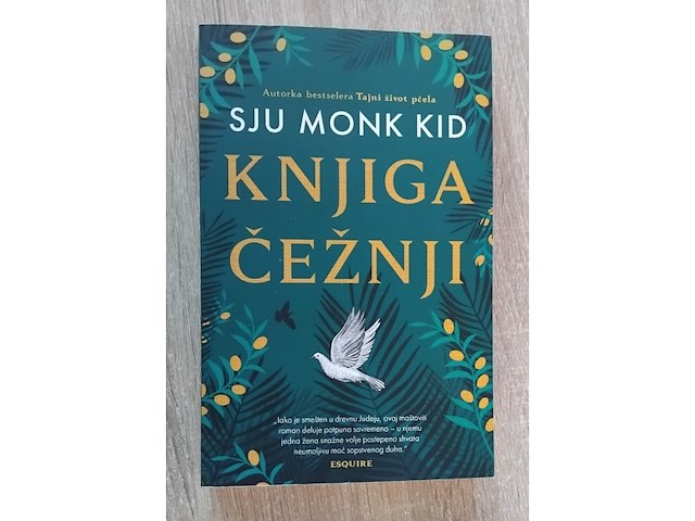 Knjiga čežnji Sju Monk Kid