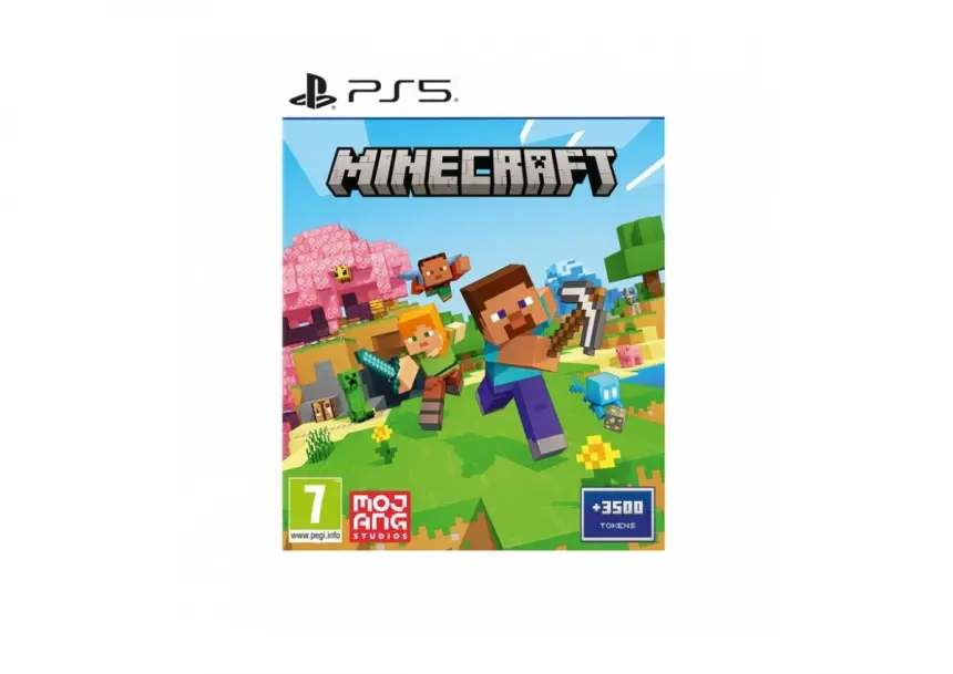 PS5 Minecraft