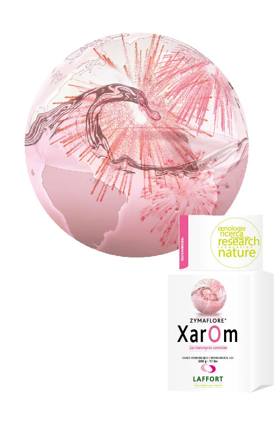 Laffort XAROM – kvasac za aromatična bela i roze vina