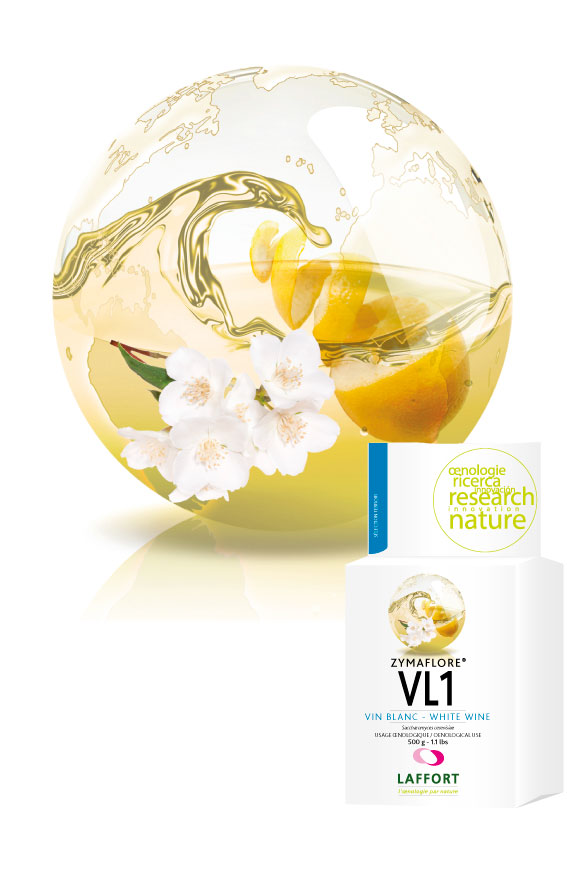 Laffort VL1 – premium kvasac za bela vina