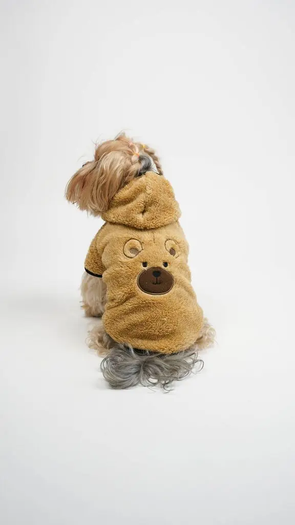 Paws & Whiskers Odelo za pse Teddy, Krem