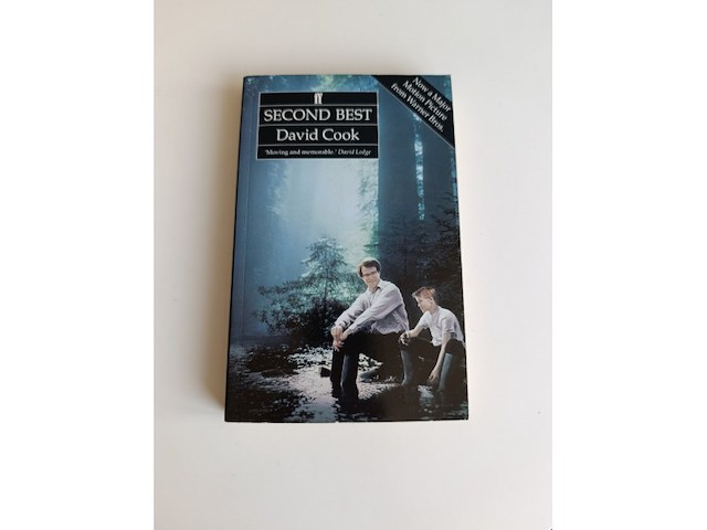 Second Best Paperback –  David Cook