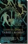 Tamni lavirint