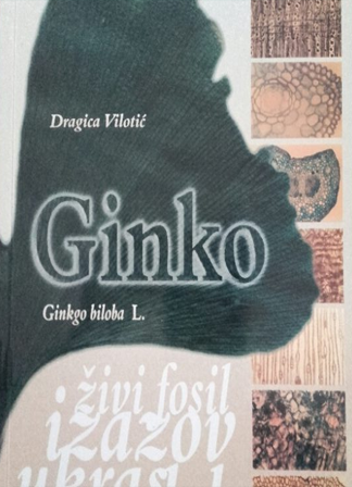 Ginko -ginko biloba L..