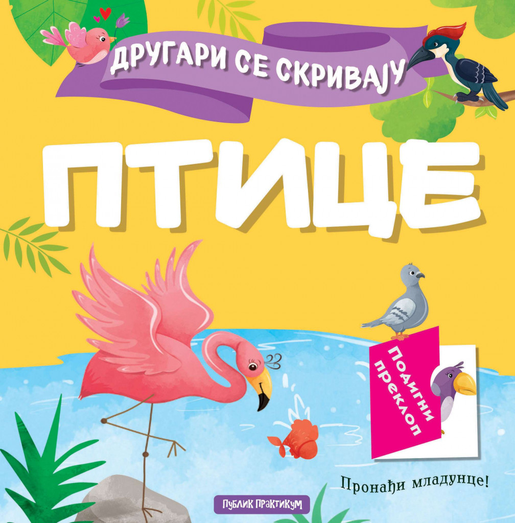Drugari se skrivaju - Ptice