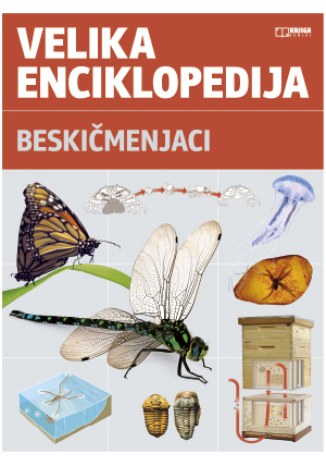 Velika enciklopedija – Beskičmenjaci
