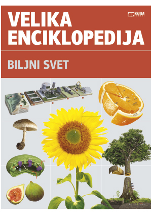 Velika enciklopedija – Biljni svet