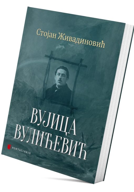 Вујица Вулићевић: роман