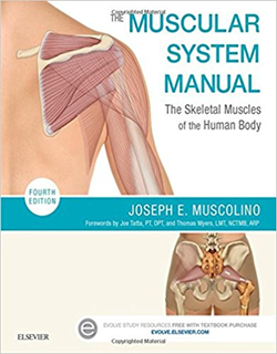 The Muscular System Manual