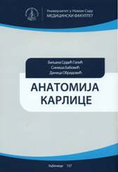 Anatomija karlice