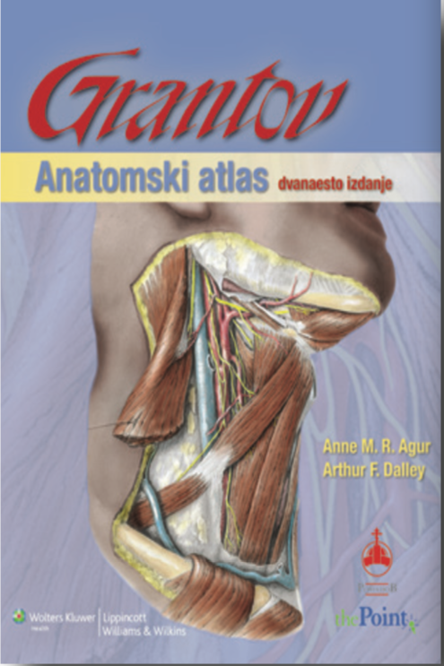 Anatomski atlas