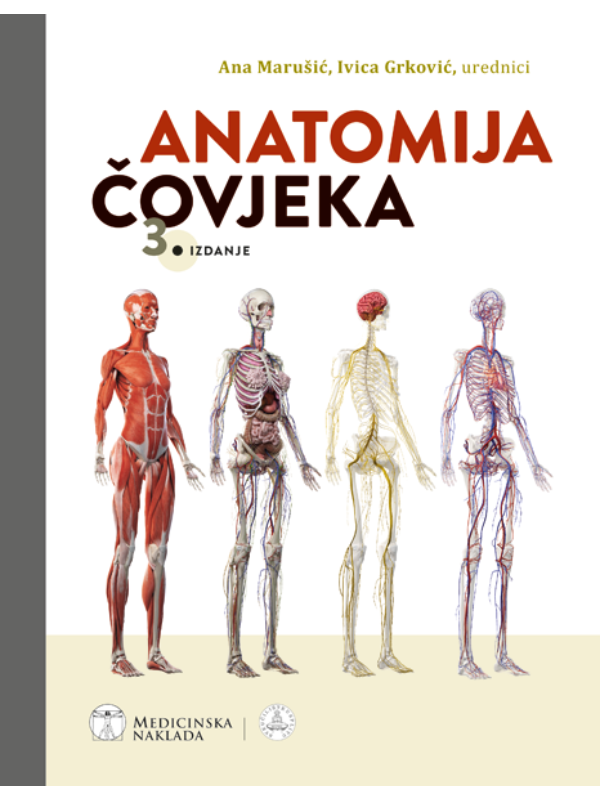 ANATOMIJA ČOVJEKA 3 izdanje