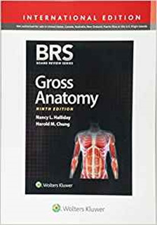 BRS GROSS ANATOMY 9E
(INT ED) PB