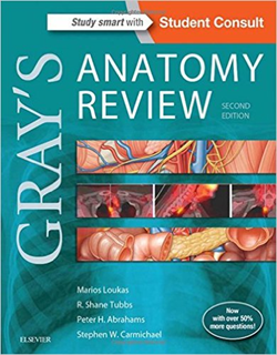 Gray’s Anatomy Review