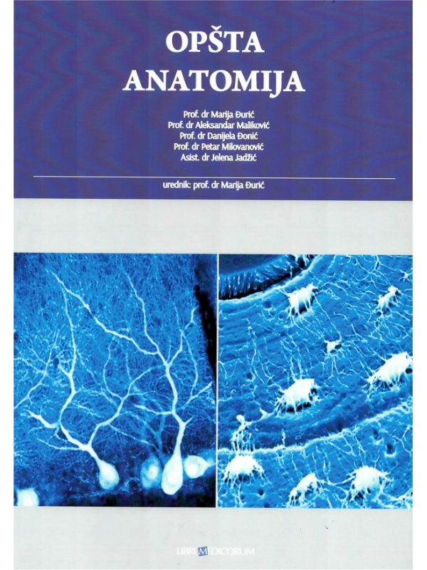 Opšta anatomija