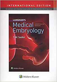 Langman Med Embryology 14E
(Int Ed) Pb