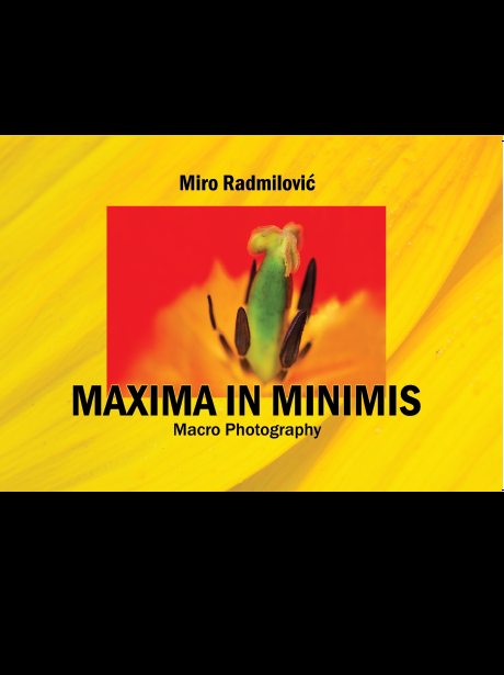MAXIMA IN MINIMIS : macro photography – Miro...