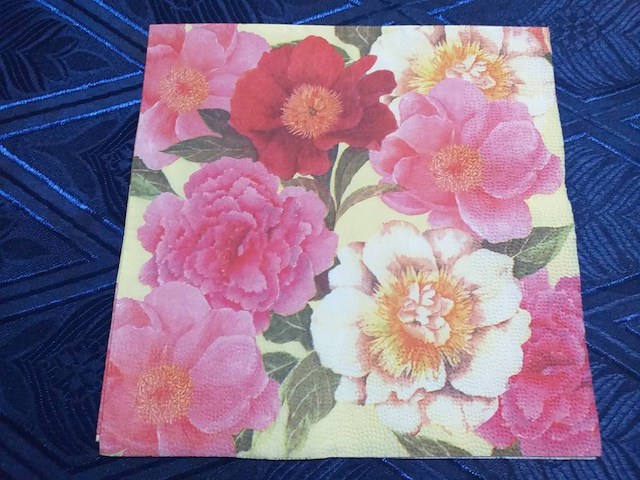 Salveta 33 x 33