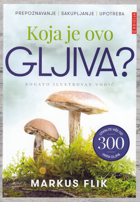Koja je ovo gljiva
