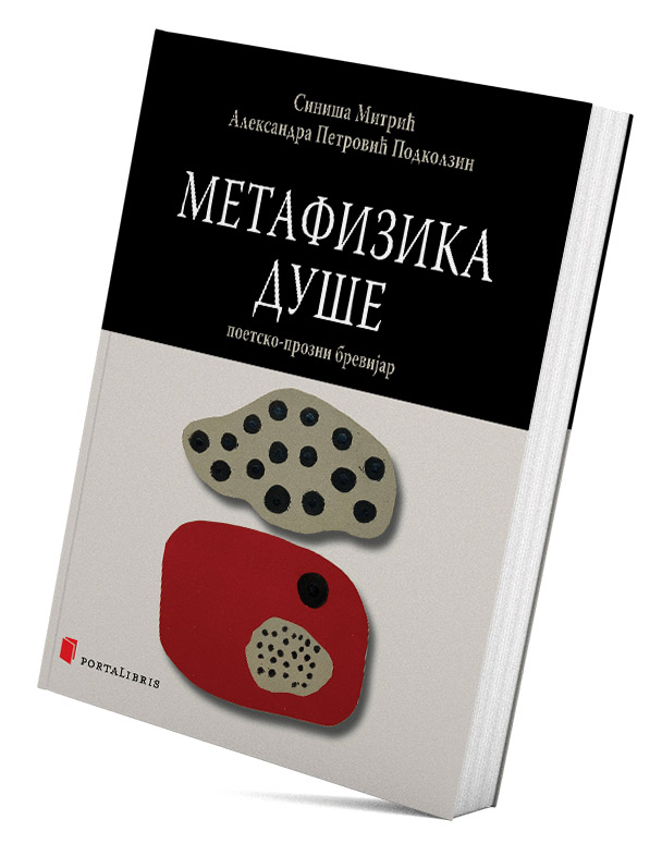 Метафизика душе