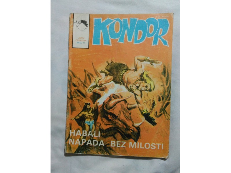 Kondor broj 11