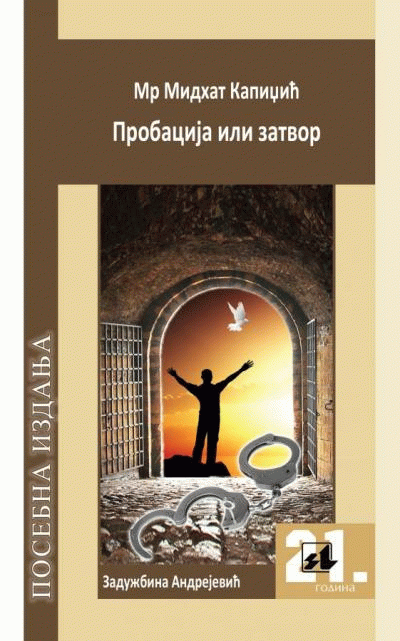 Пробација или затвор