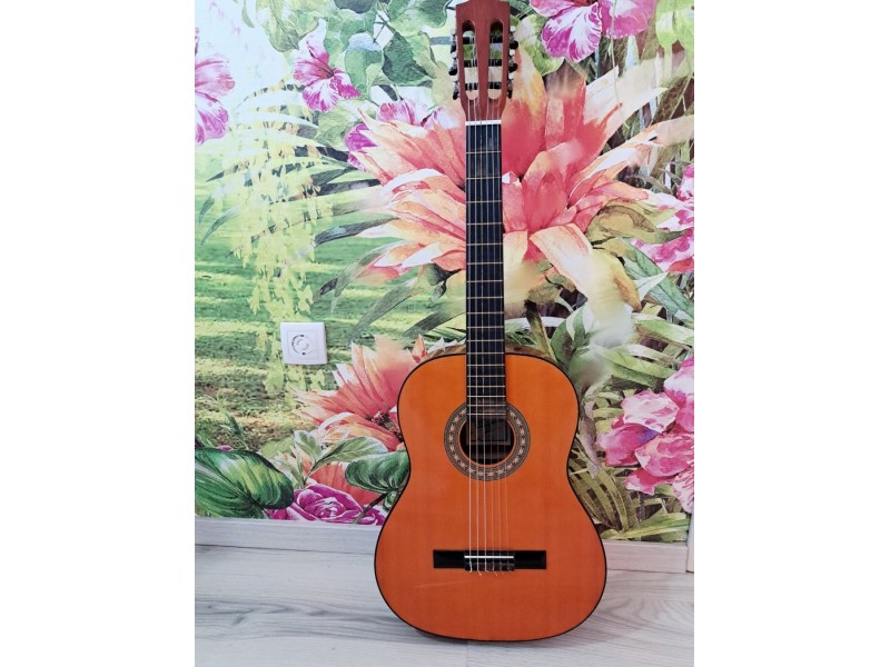 Hondo II akusticna gitara H308A