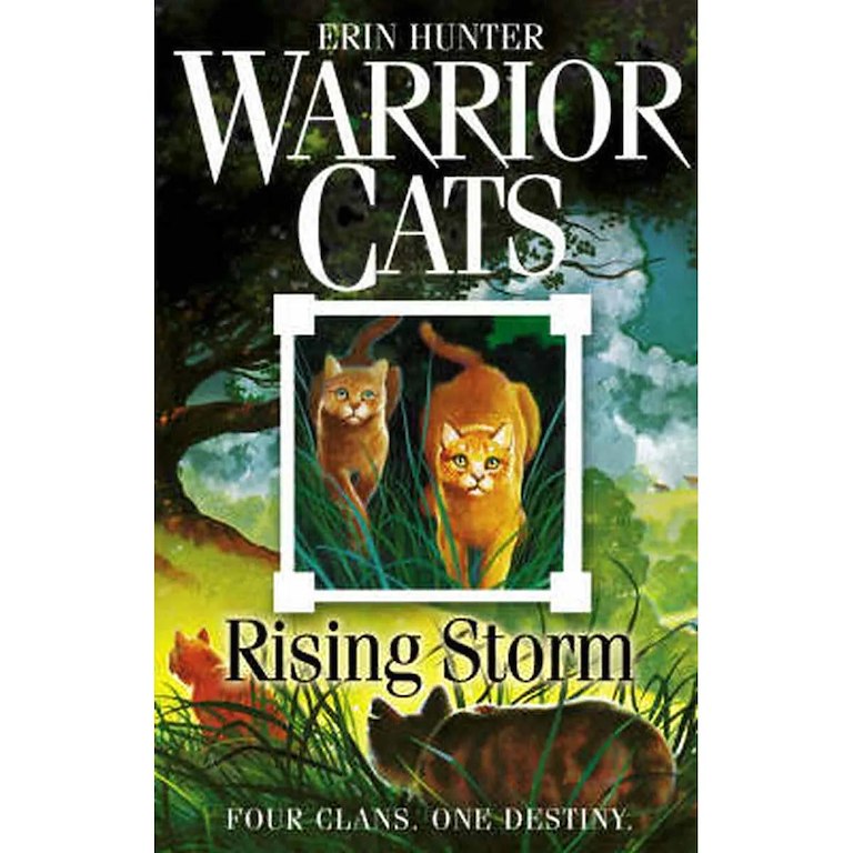 WARRIOR CATS 4 RISING STORM
