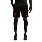 MUŠKI ŠORC NIKE KNVB M NK DF STRK SHORT KZ