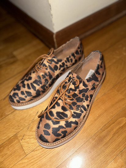 686. Steve Madden patike cipele leopard