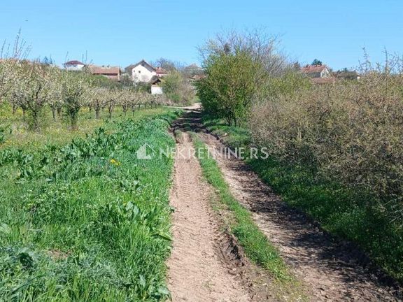 Poljoprivredno zemljište-Idealno za voćnjak