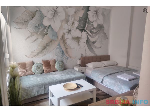 Studio Apartman Magnolia Beograd Centar