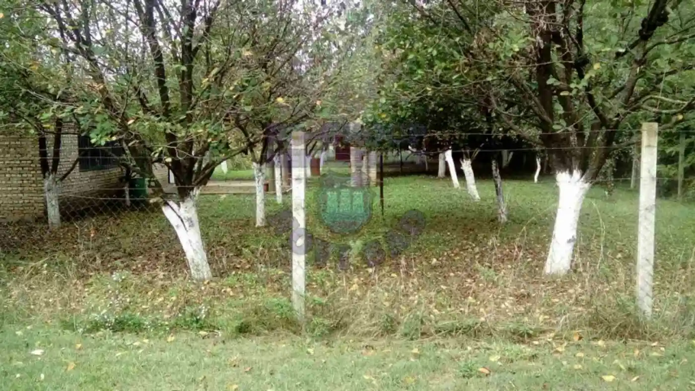 Sajlovo, Novi Sad