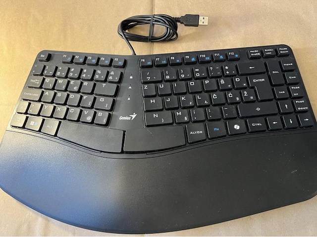 Ergonomska tastatura Genius Ergo KB-700