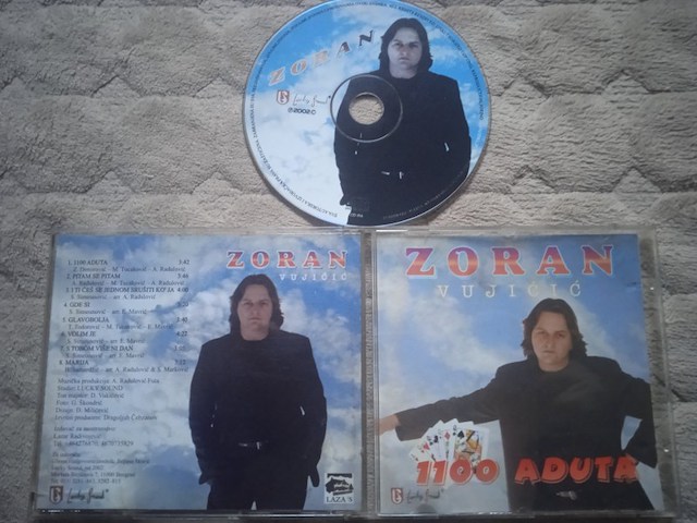 Zoran Vujičić - 1100 aduta